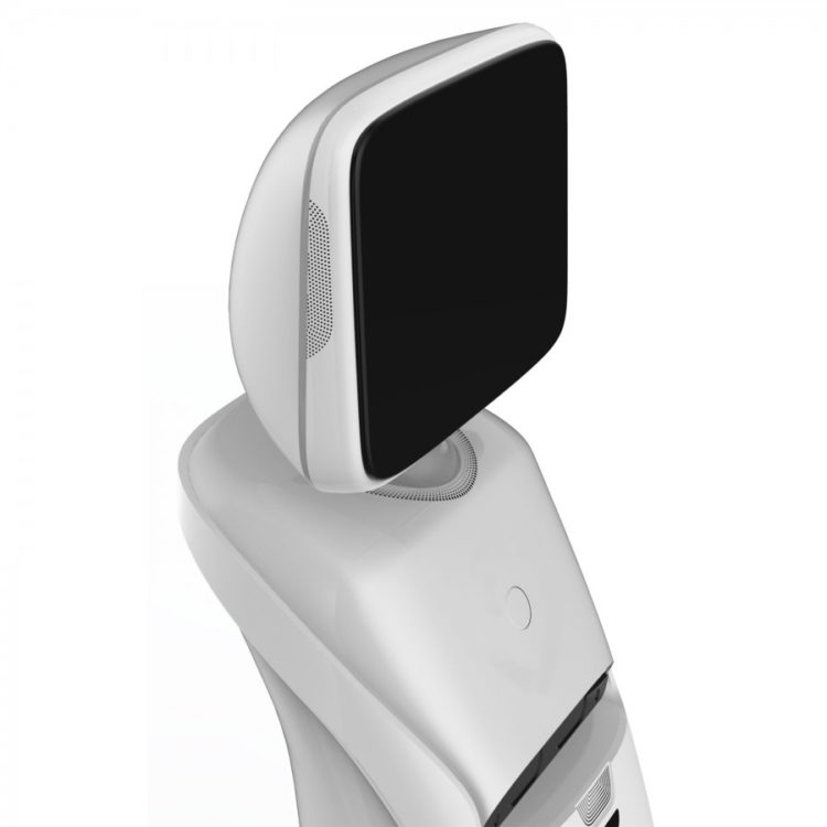 Intelligent telepresence Healthcare Robot SIFROBOT-1.0